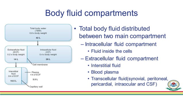 Body fluids.pdf