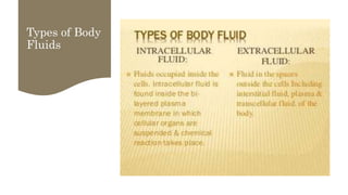 BODY FLUIDS.pptx