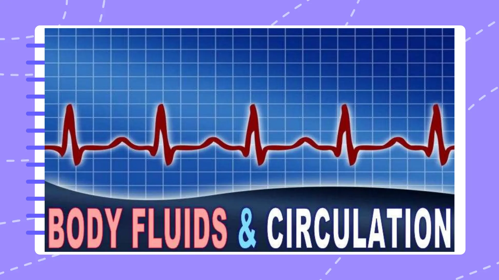 Body Fluids and Circulation | PPT