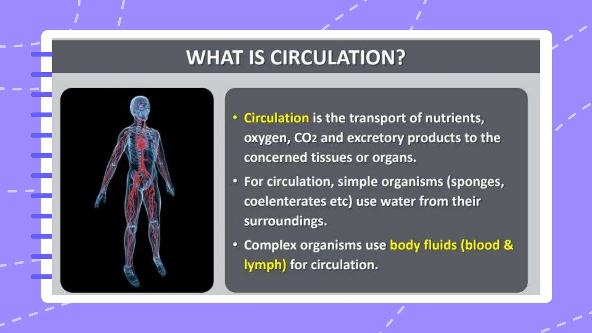 Body Fluids and Circulation | PPT