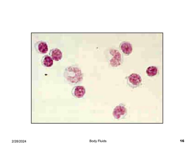 Body Fluids.ppt for healthy students ppt | PPT | Brain and Nervous ...