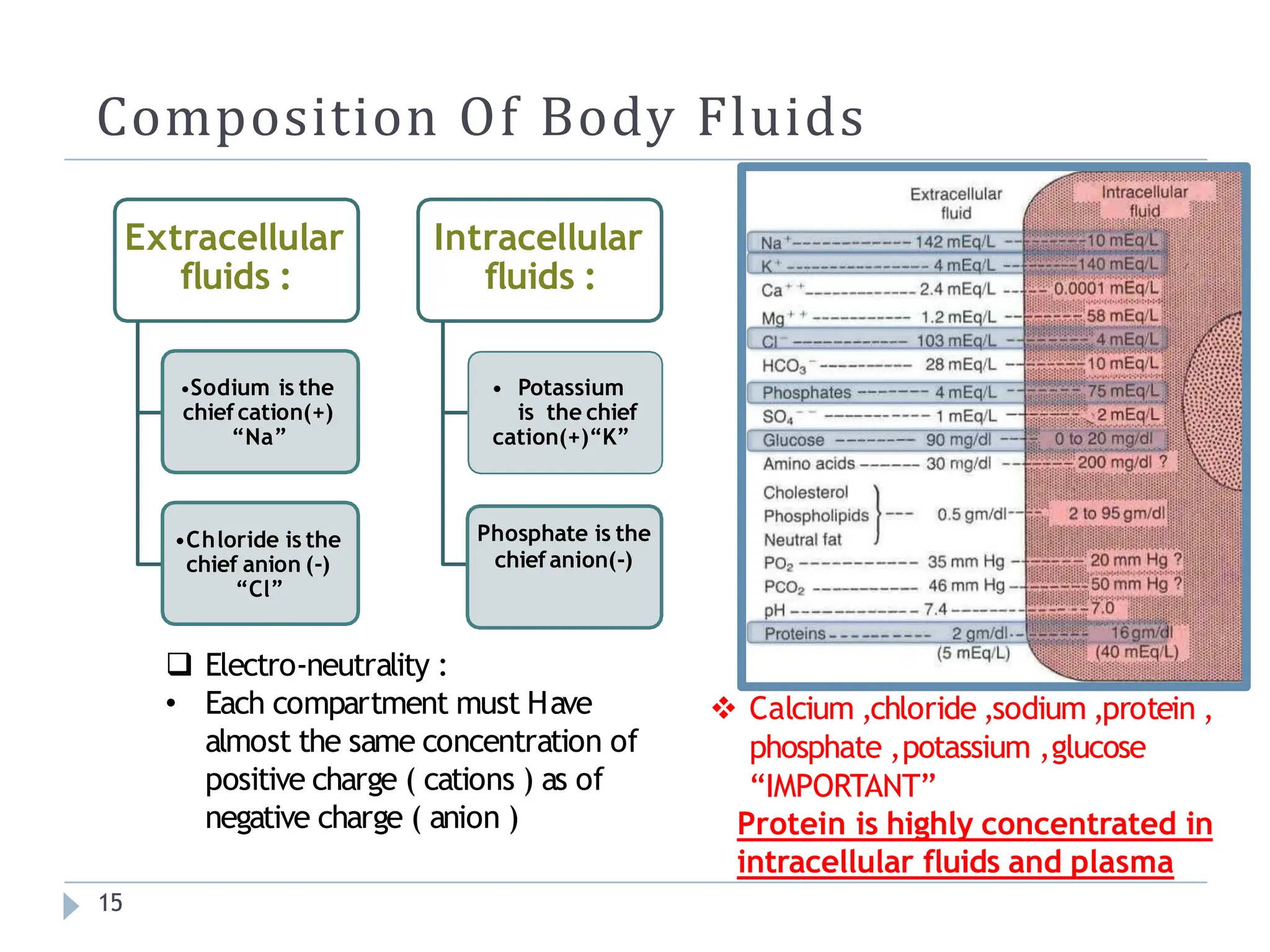 Body Fluids content in anatomy and physiology | PPTX