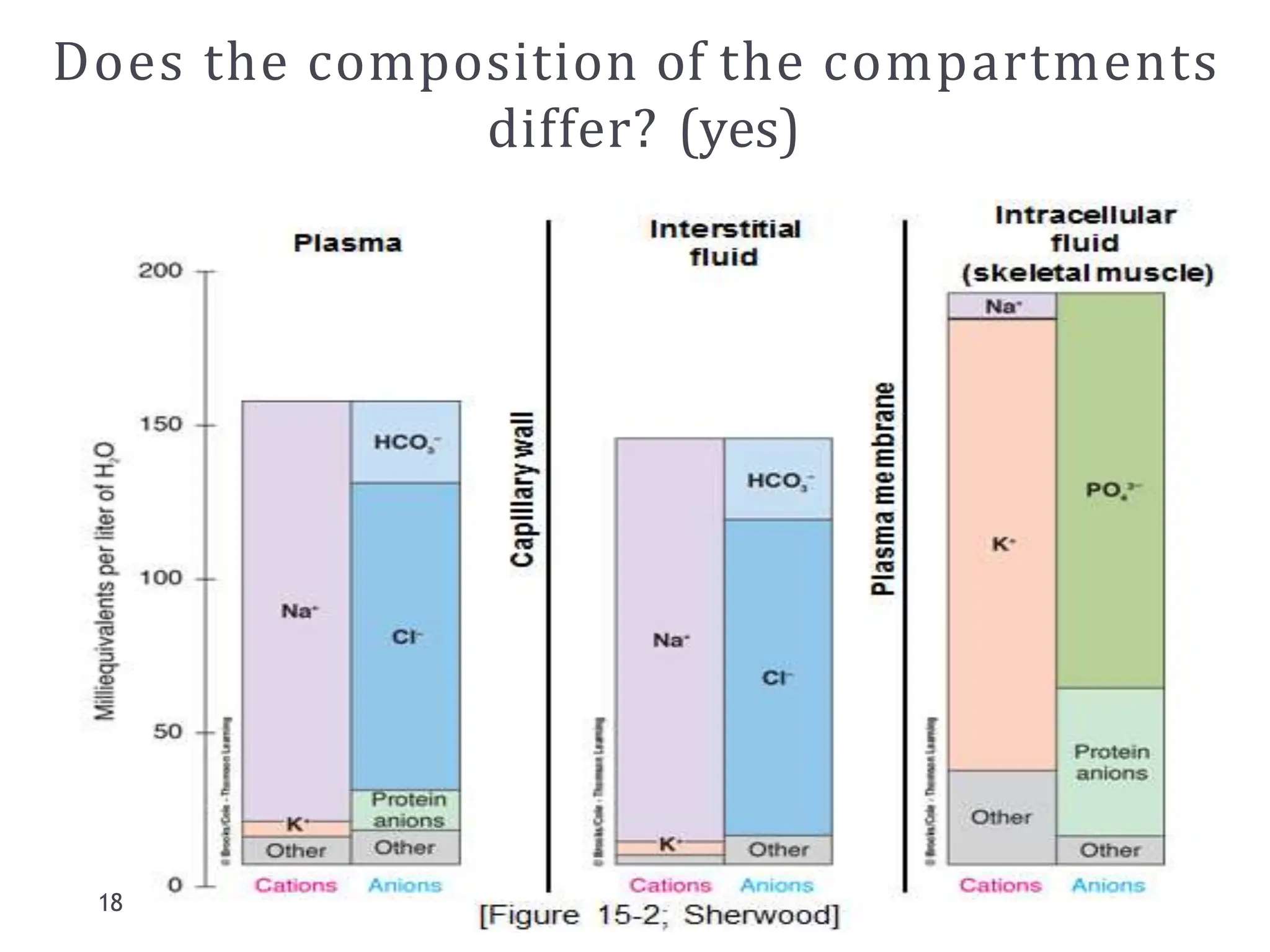 Body Fluids content in anatomy and physiology | PPTX