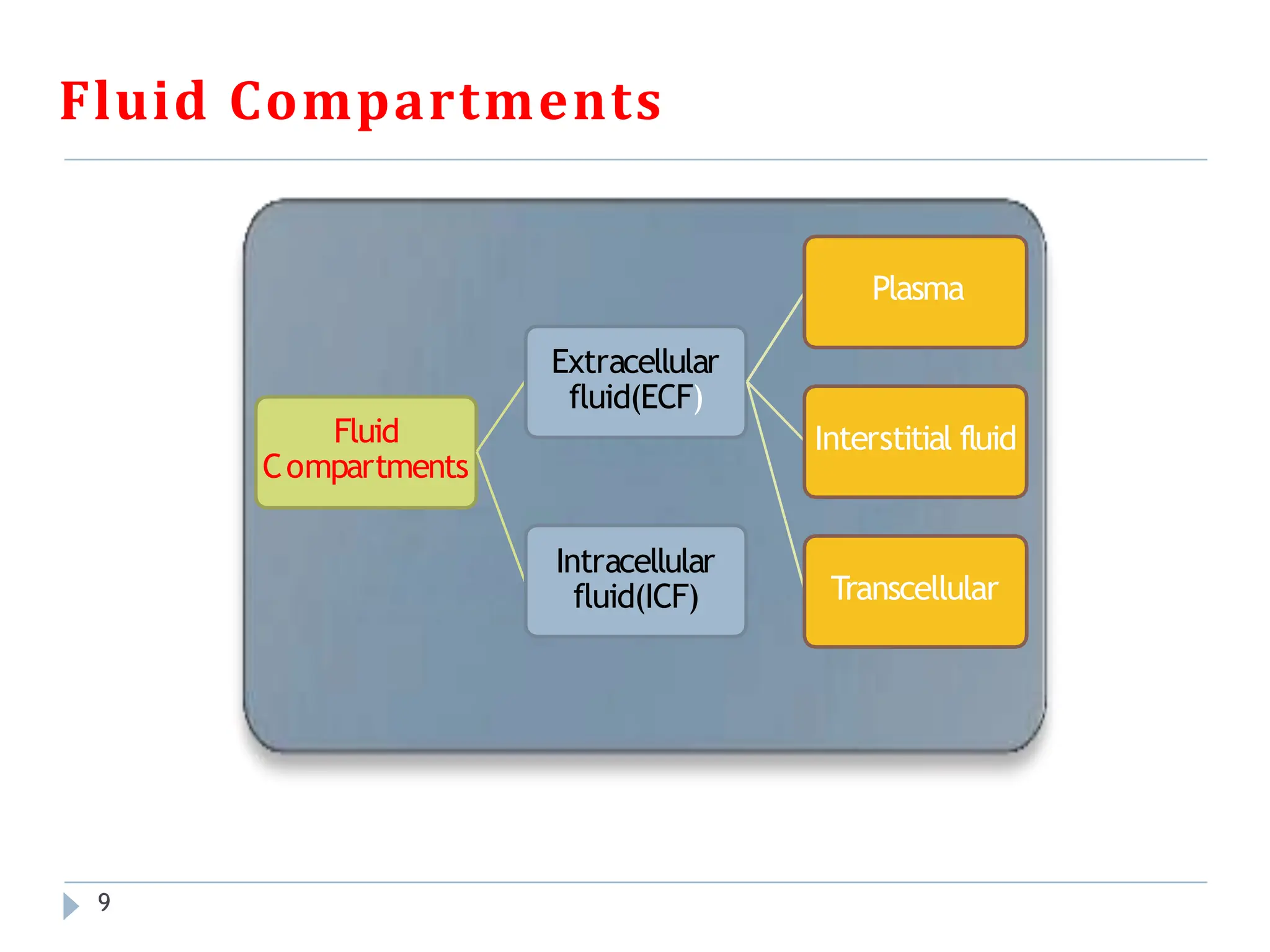 Body Fluids content in anatomy and physiology | PPTX