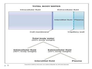 Body Fluids content in anatomy and physiology | PPTX
