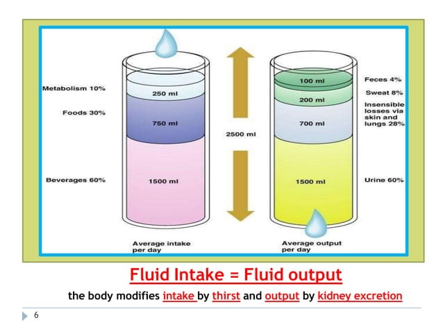 Body Fluids content in anatomy and physiology | PPTX | Blood Disorders ...