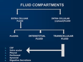 BODY_FLUIDS-IMTIAZ[1].ppt