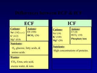Body fluids new | PPT