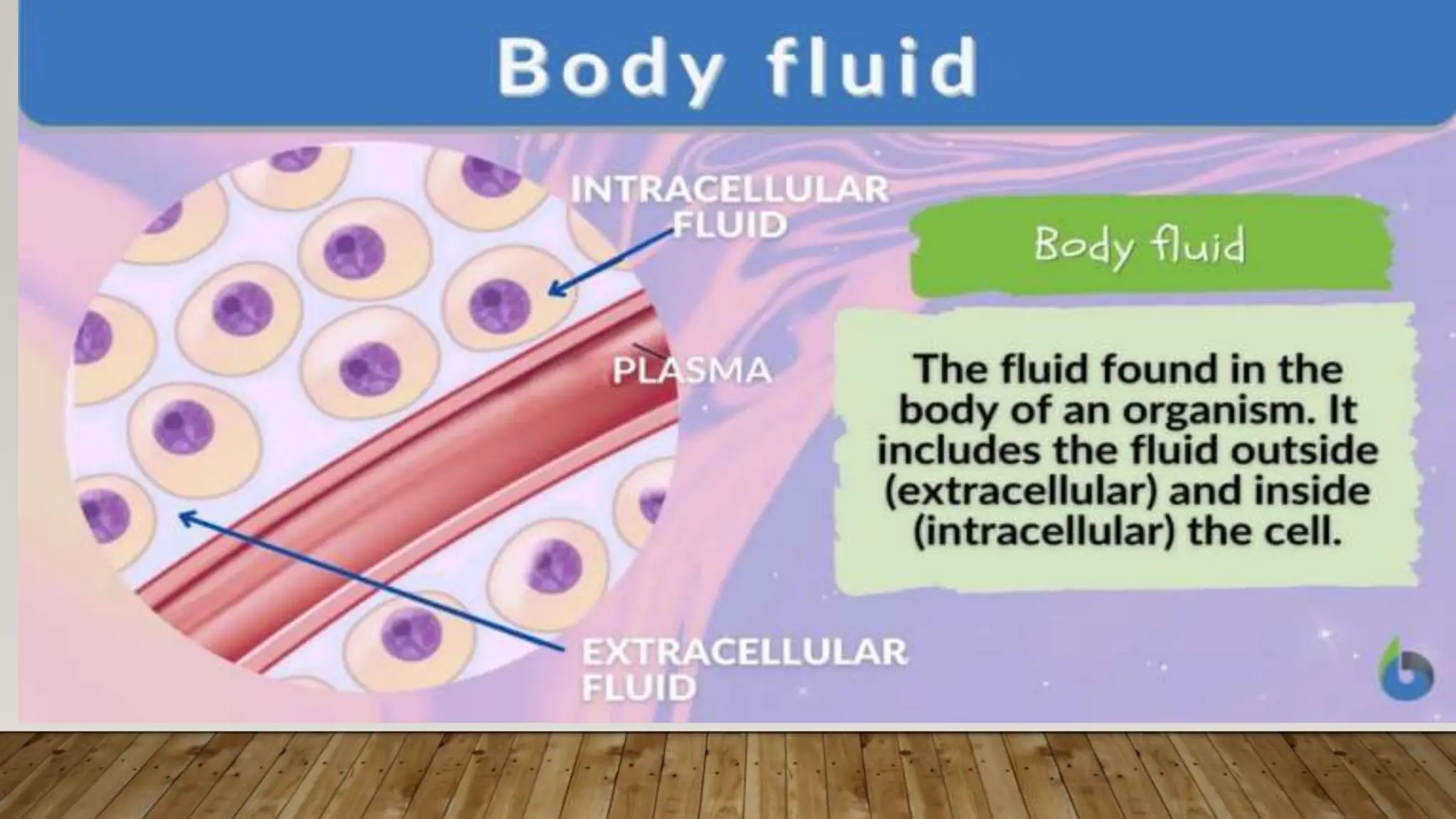 Body fluids it's definitions and categories | PPT