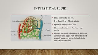 Body fluids it's definitions and categories | PPT