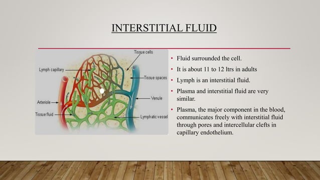 Body fluids it's definitions and categories | PPT