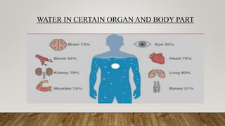 Body fluids it's definitions and categories | PPTX