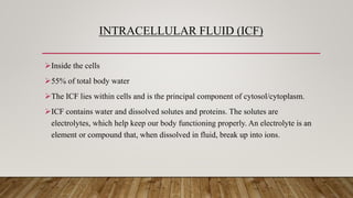 Body fluids it's definitions and categories | PPTX