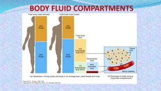 Introduction to Body fluids Analysis | PPTX