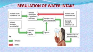 Introduction to Body fluids Analysis | PPTX