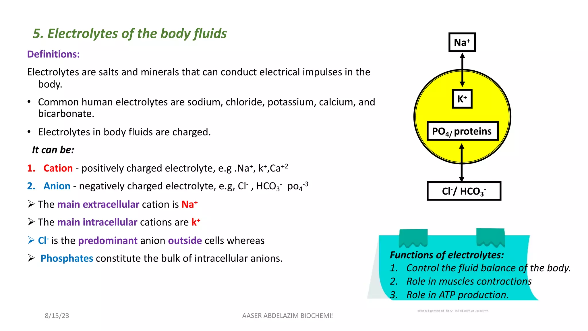 Body Fluids | PDF