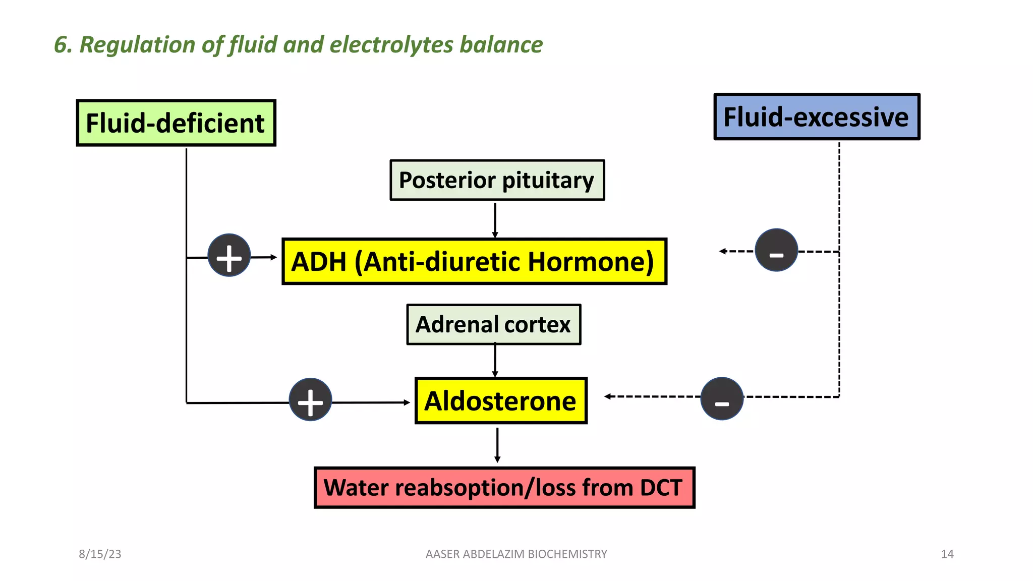 Body Fluids | PDF