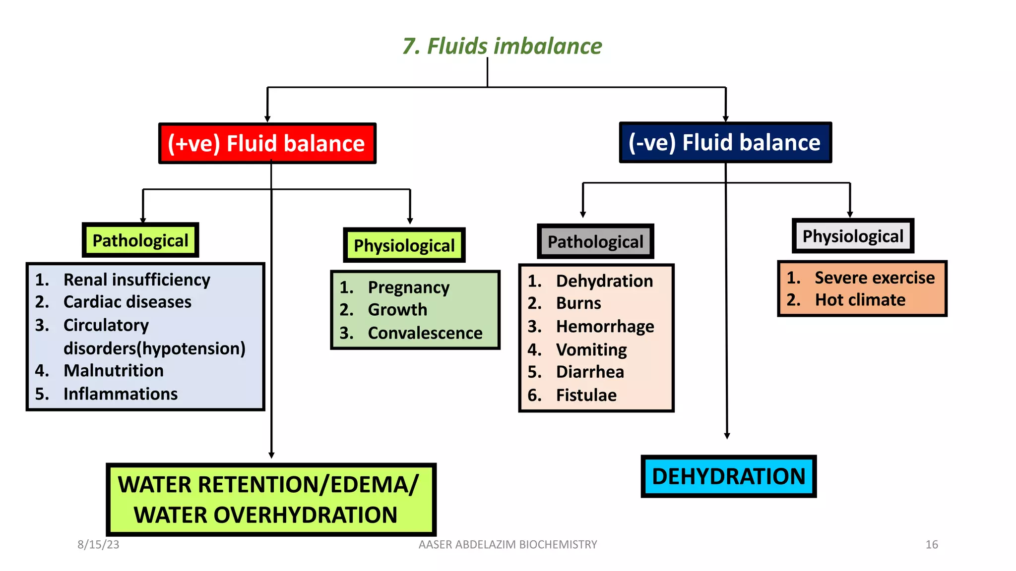 Body Fluids | PDF