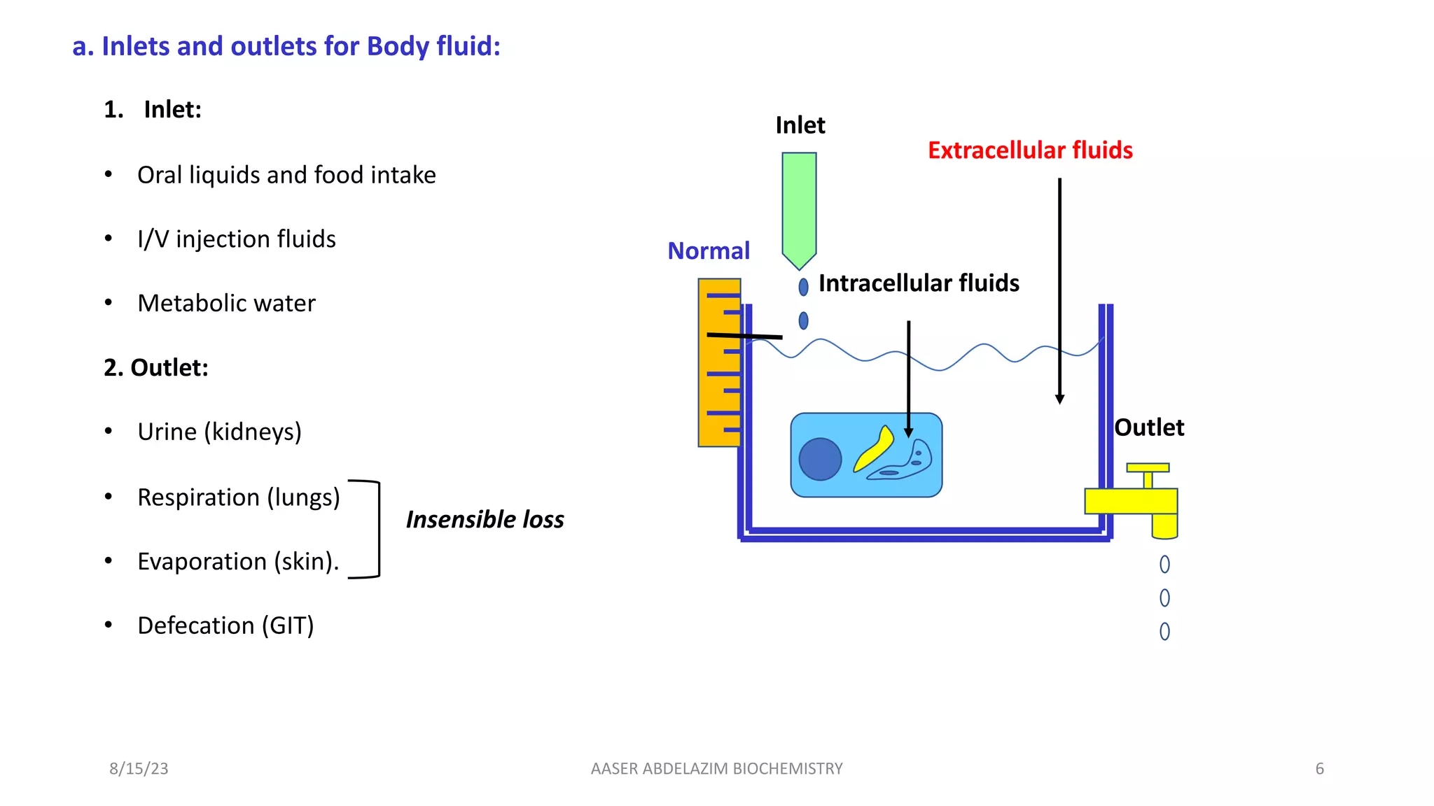 Body Fluids | PDF