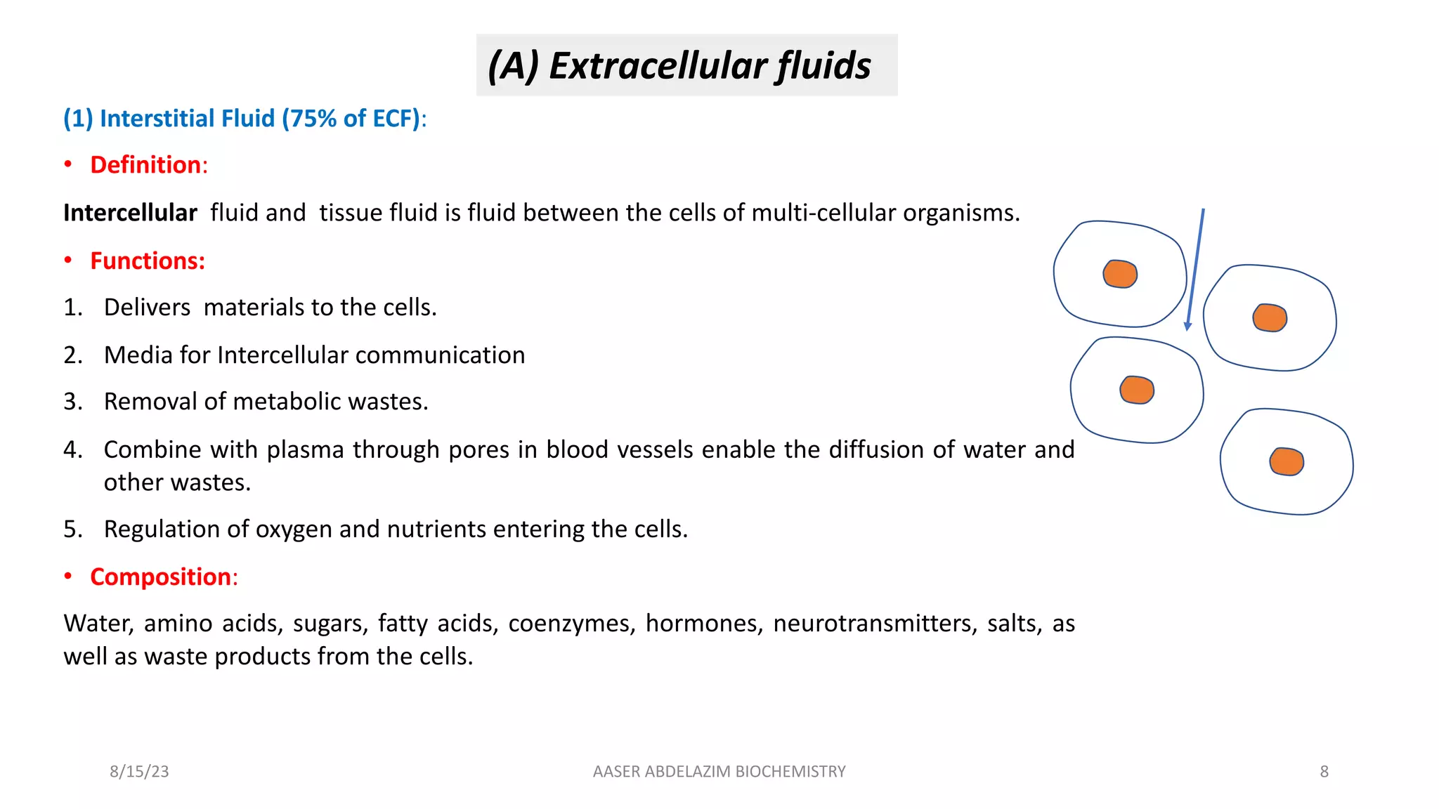 Body Fluids | PDF
