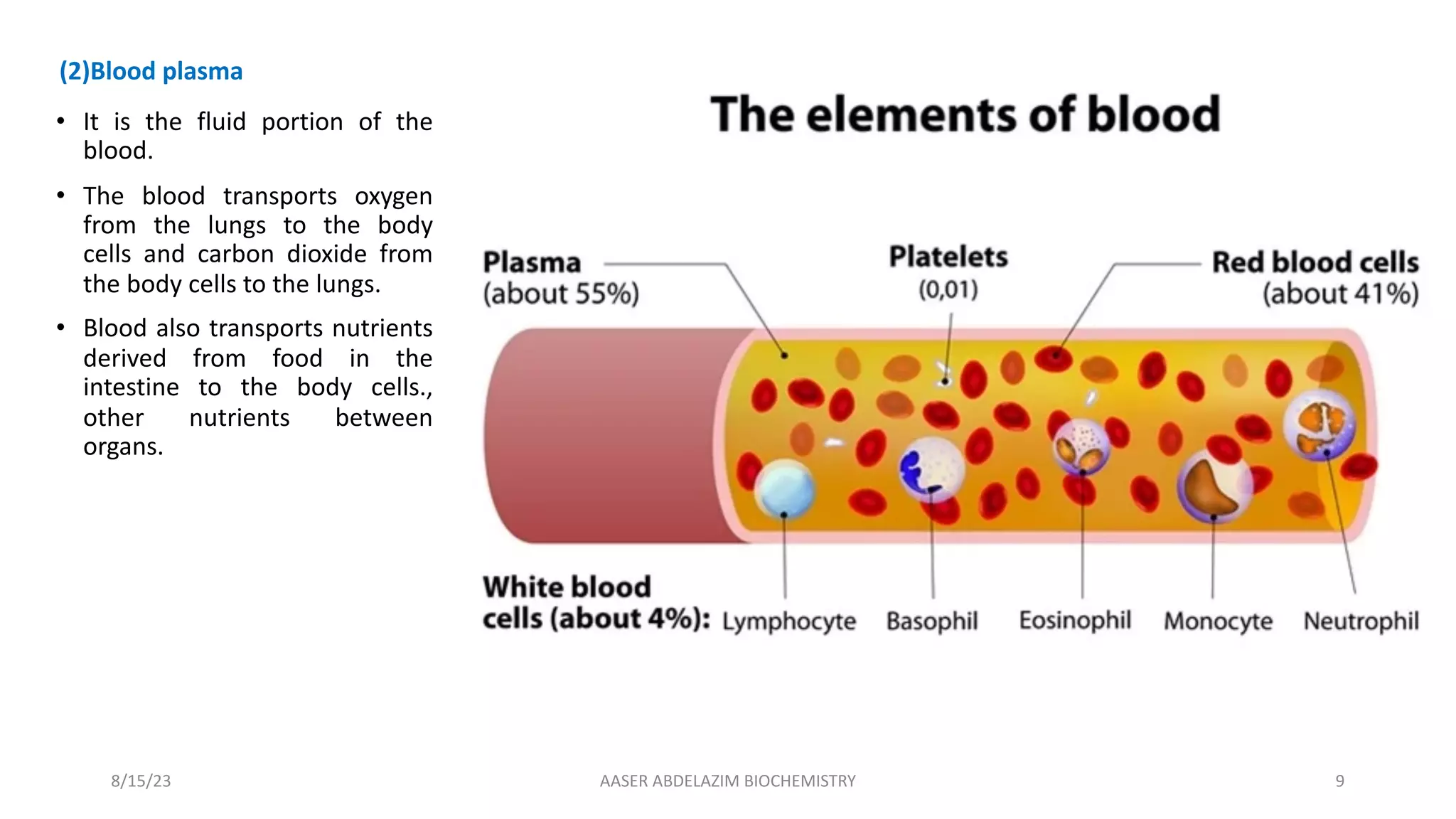 Body Fluids | PDF