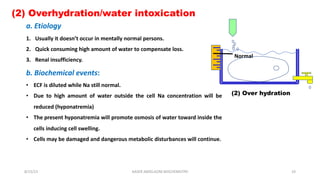 Body Fluids | PDF