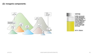 Body Fluids | PDF