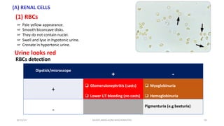 Body Fluids | PDF