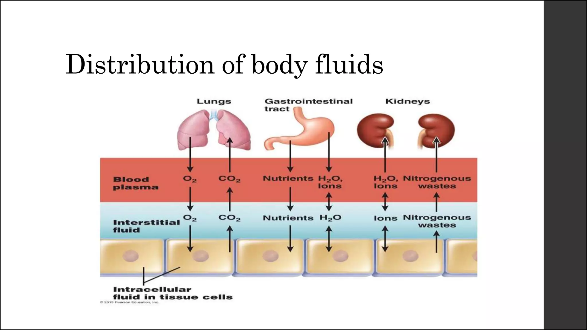 Body fluids | PDF
