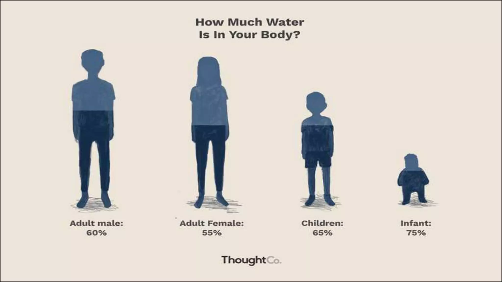 Body fluids | PDF