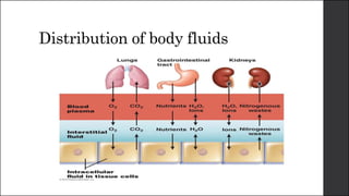 Body fluids | PDF | Digestive Disorders | Diseases and Conditions