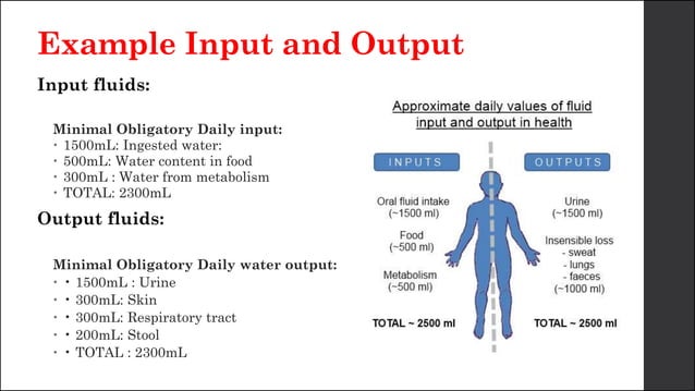 Body fluids | PDF | Digestive Disorders | Diseases and Conditions