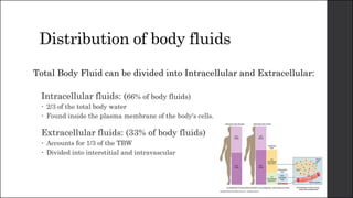 Body fluids | PDF | Digestive Disorders | Diseases and Conditions