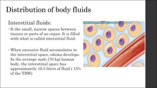 Body fluids | PDF | Digestive Disorders | Diseases and Conditions