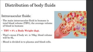 Body fluids | PDF | Digestive Disorders | Diseases and Conditions