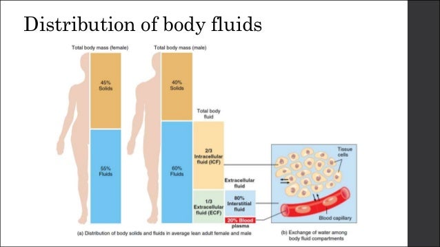 Body fluids