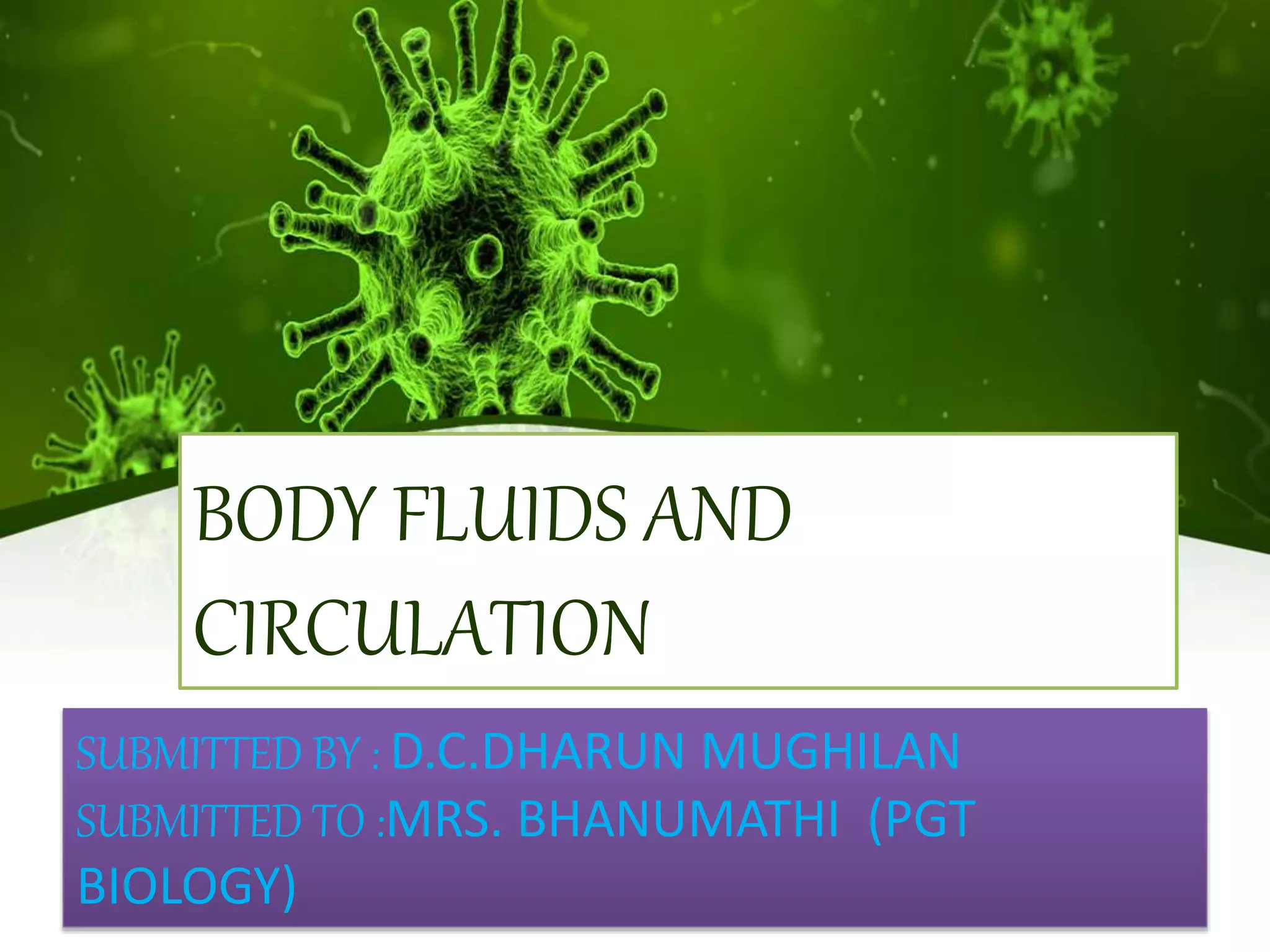 CLASS 11 TH Body fluids and circulation | PPTX