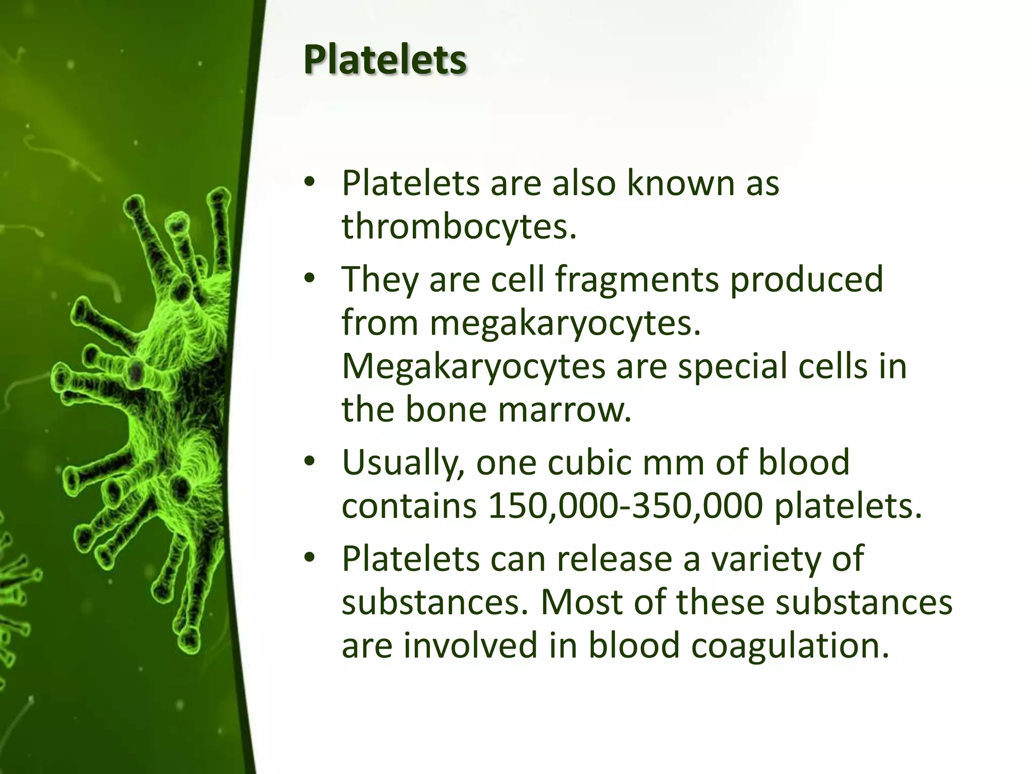 CLASS 11 TH Body fluids and circulation | PPTX