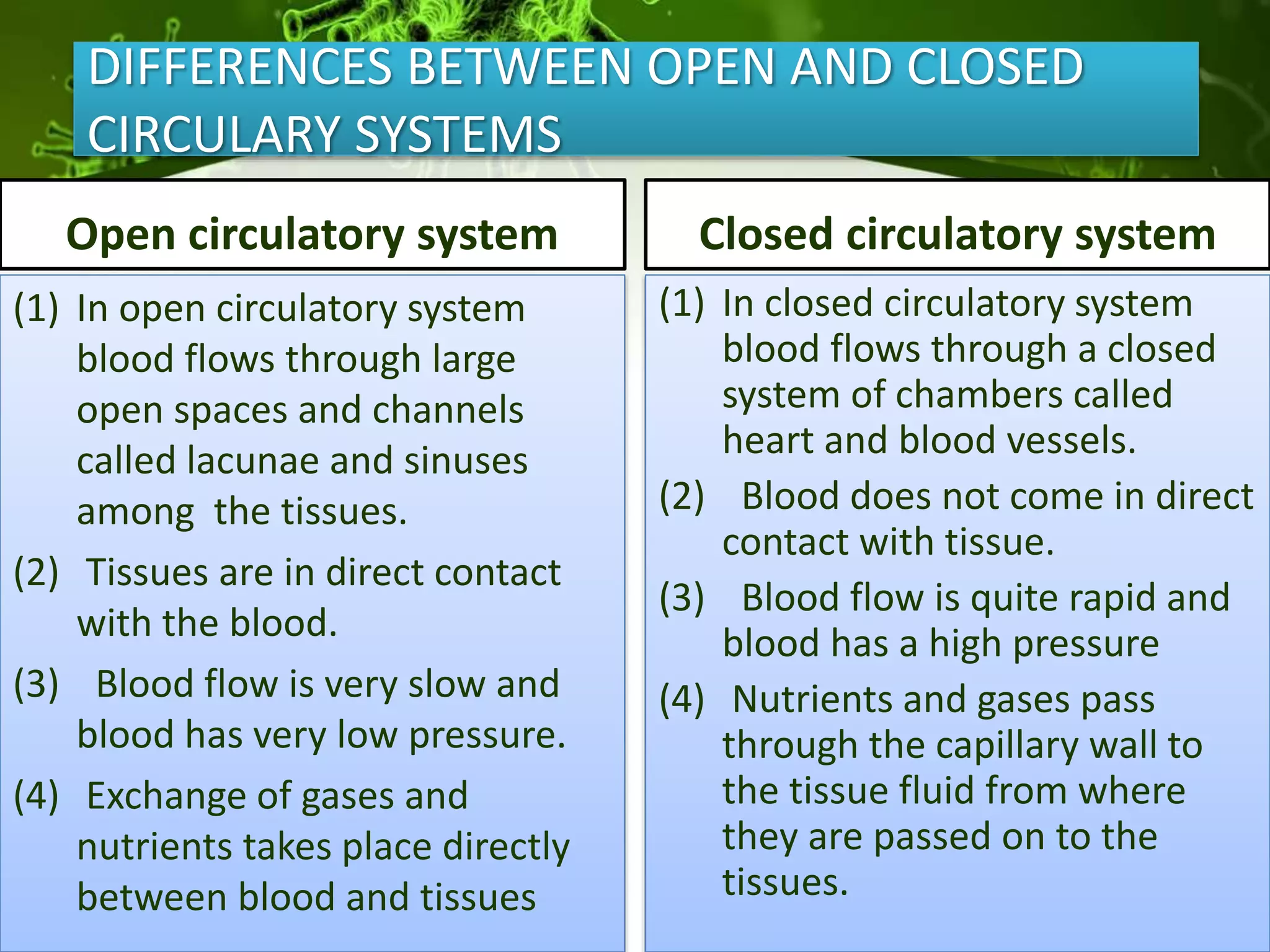 CLASS 11 TH Body fluids and circulation | PPTX