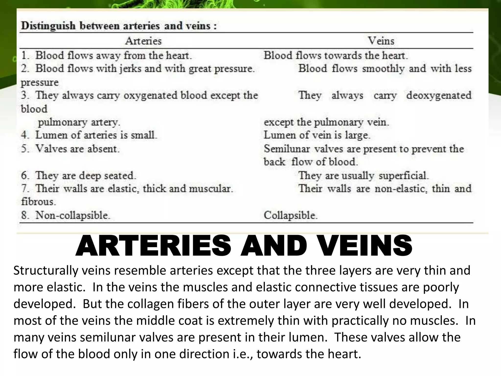 CLASS 11 TH Body fluids and circulation | PPTX