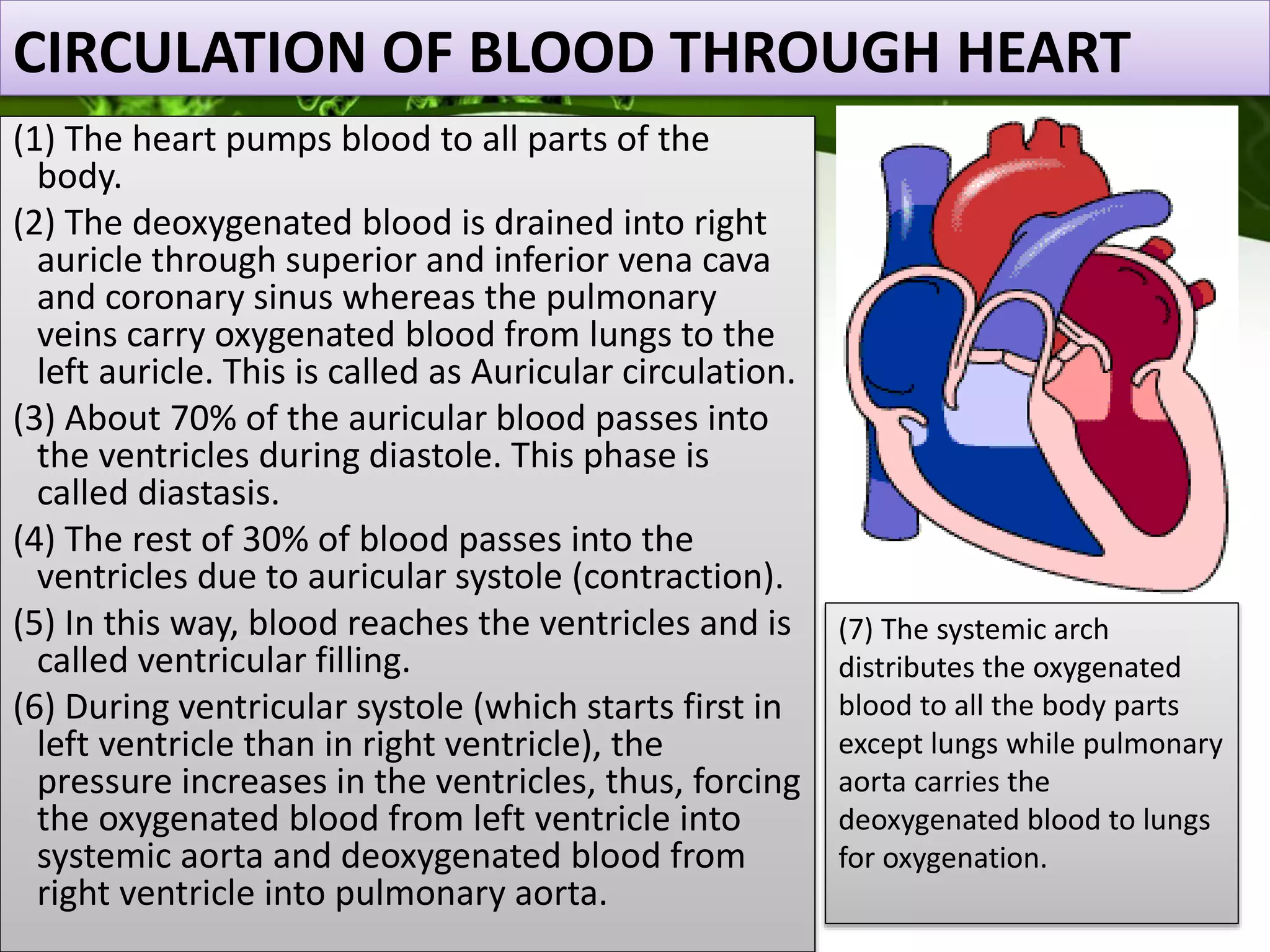 CLASS 11 TH Body fluids and circulation | PPTX