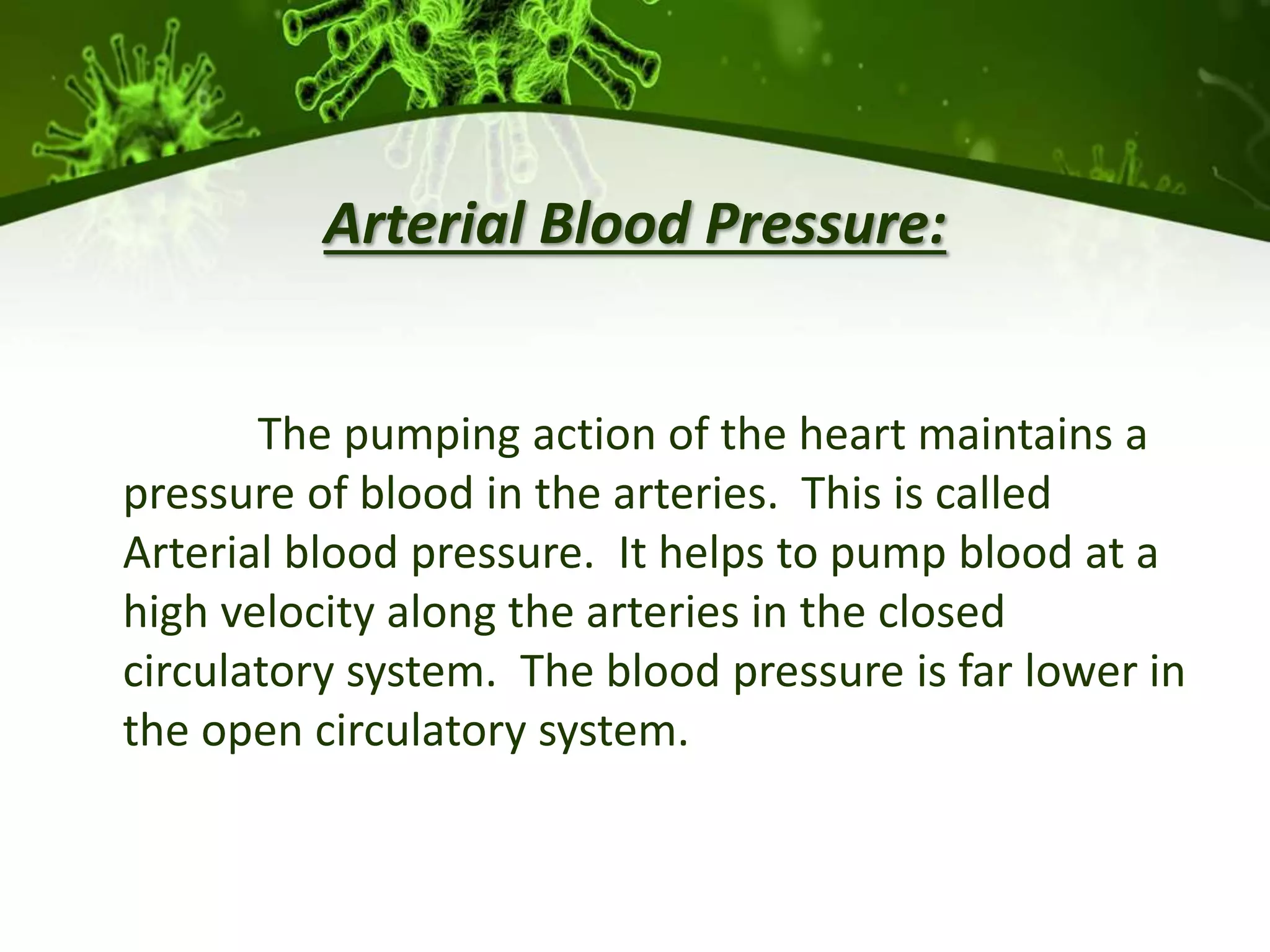 CLASS 11 TH Body fluids and circulation | PPTX