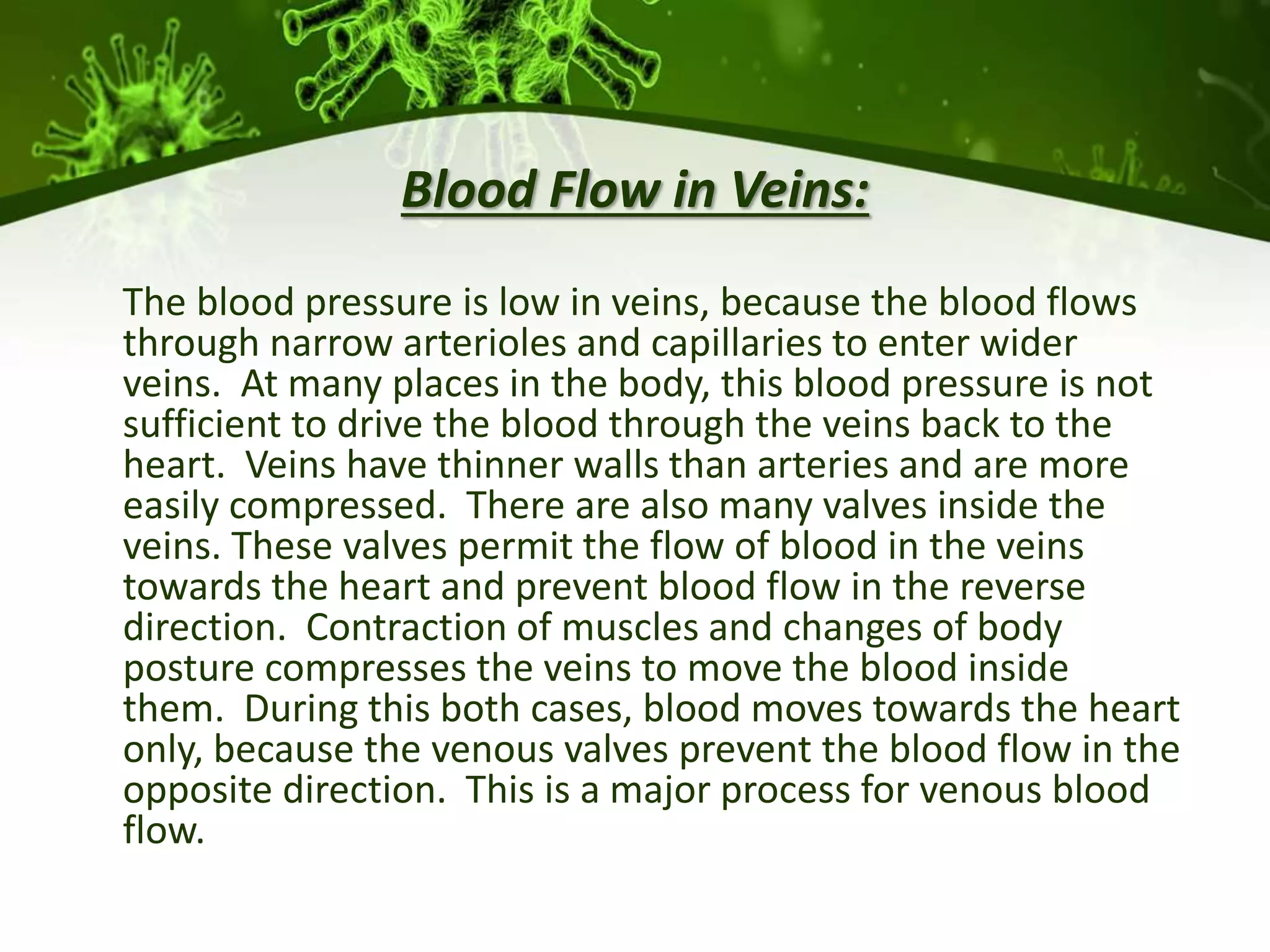 CLASS 11 TH Body fluids and circulation | PPTX