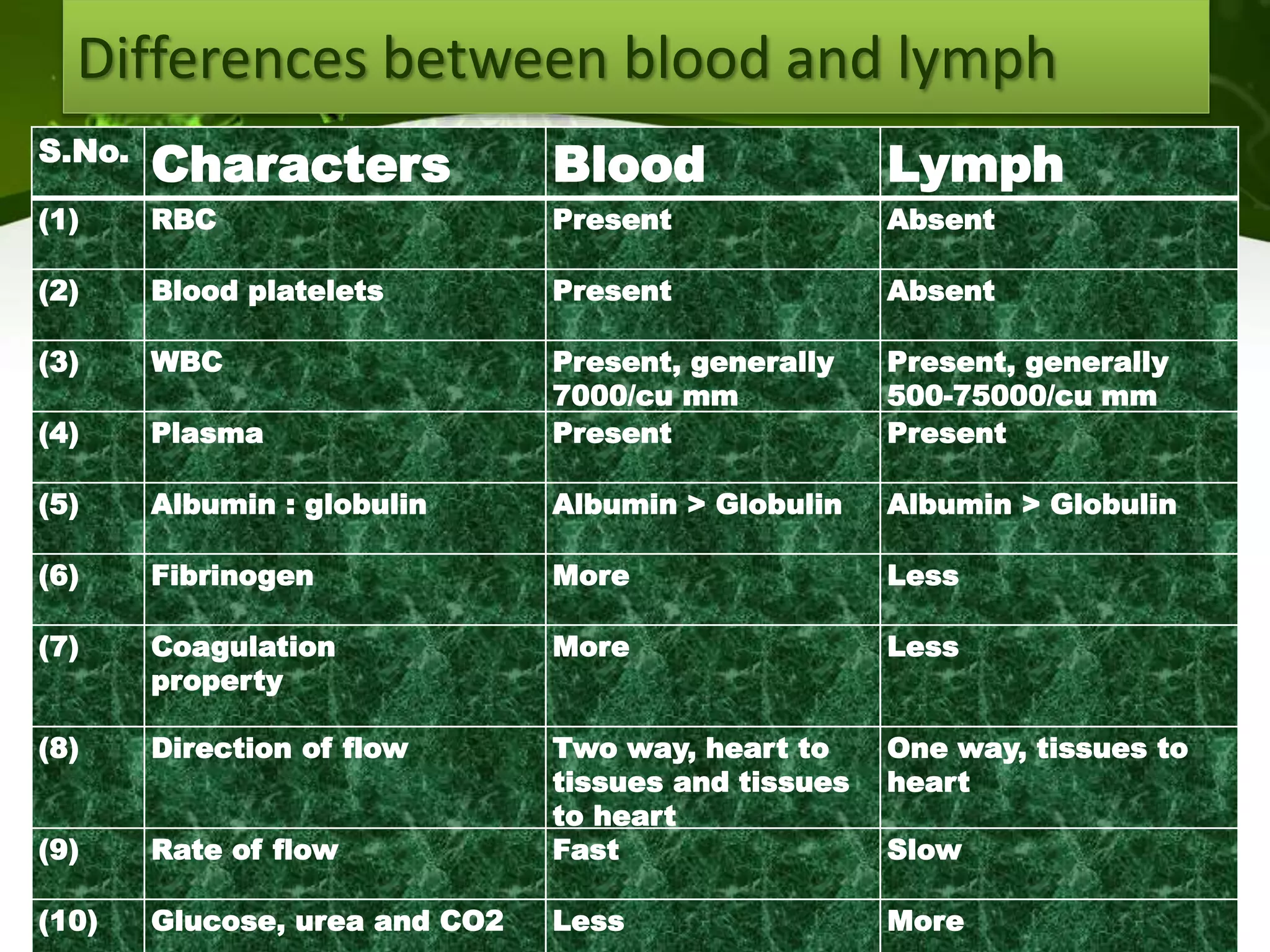 CLASS 11 TH Body fluids and circulation | PPTX
