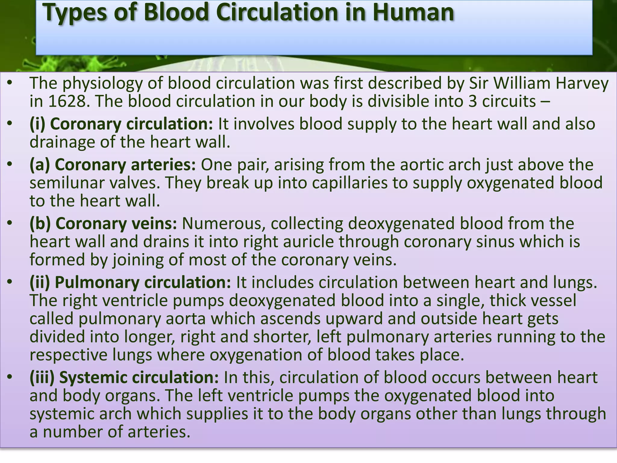 CLASS 11 TH Body fluids and circulation | PPTX