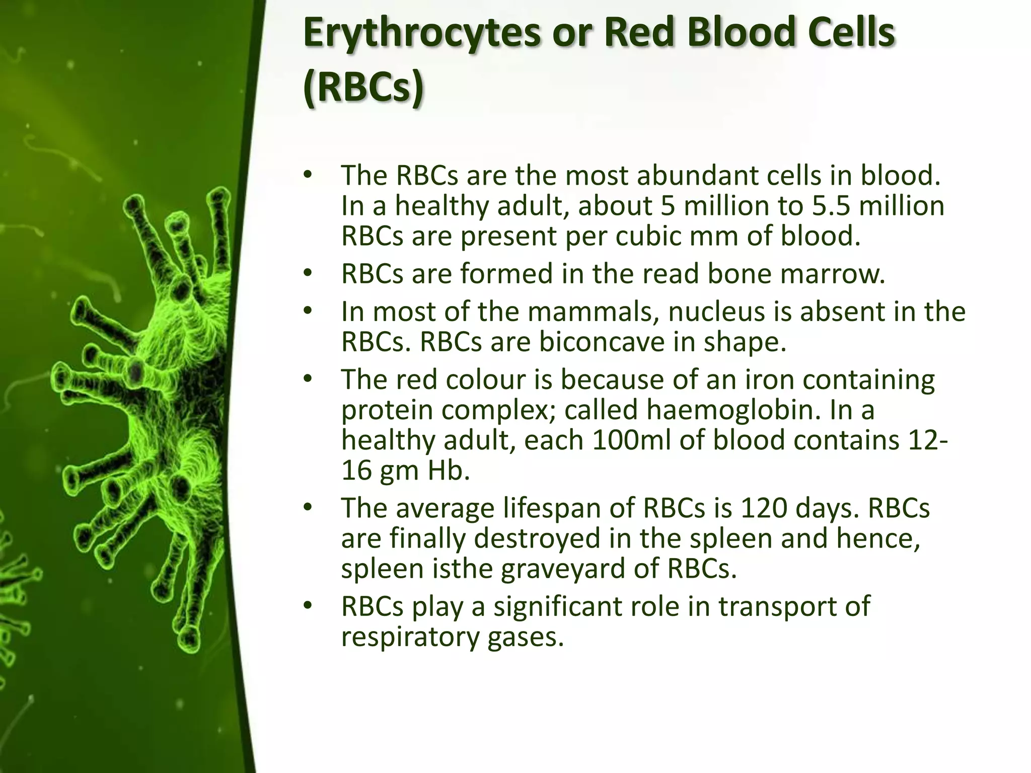 CLASS 11 TH Body fluids and circulation | PPTX