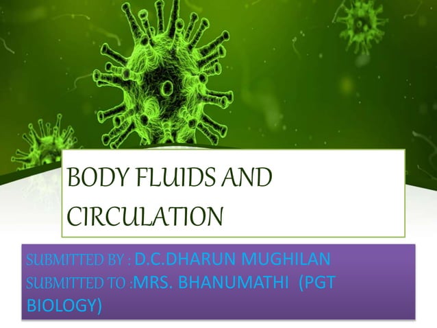 CLASS 11 TH Body fluids and circulation | PPTX