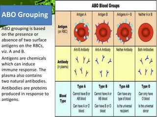 CLASS 11 TH Body fluids and circulation | PPTX