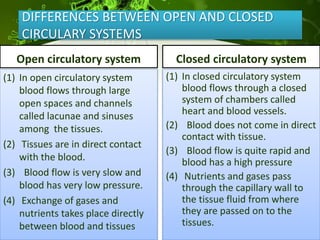 CLASS 11 TH Body fluids and circulation | PPTX