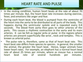 CLASS 11 TH Body fluids and circulation | PPTX